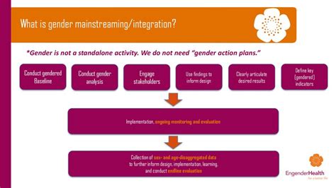 Integrating Gender Into Programming Ppt Download