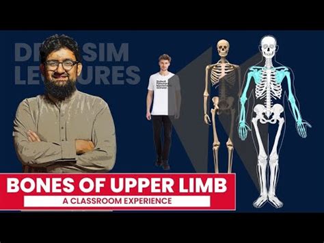 Bones Of Upper Limb Hindi Urdu YouTube
