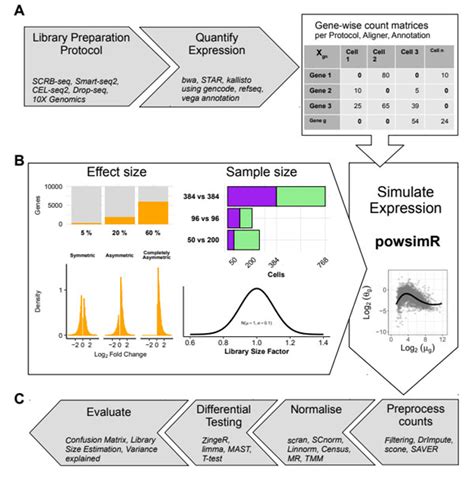 A Systematic Evaluation Of Single Cell Rna Seq Analysis Pipelines Rna