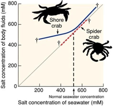 Exam 2 Flashcards Quizlet