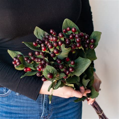 Burgundy Hypericum Berries Diy Wedding Flowers Flower Moxie