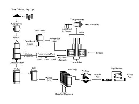 What Is Chemical Pulp And Chemical Pulping Process
