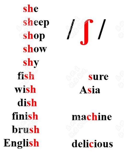英語音標大全：掌握好這48個音標助力英語自學加分，超實用寶典！ 每日頭條