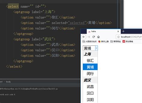 Html页面的基本信息 金龟子大战猕猴桃 博客园