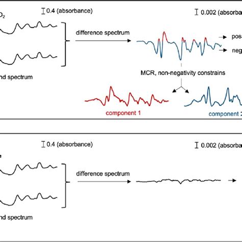 Representation Of The Spectral Components Obtained Upon Processing The Download Scientific