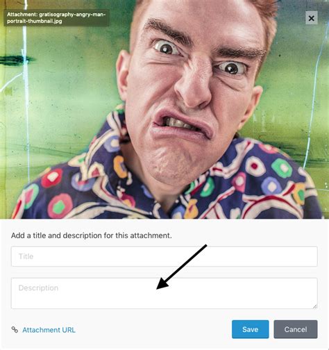 Octobercms October Cms Is There A Way To Use A Rich Text Editor