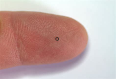 Ferrite Core Memory At Timothy Simpson Blog