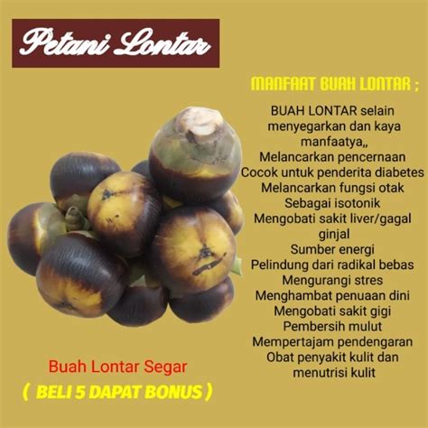 Jual Buah Siwalan Lontar 1 Pcs Bulat Isi 3 Biji Shopee Indonesia
