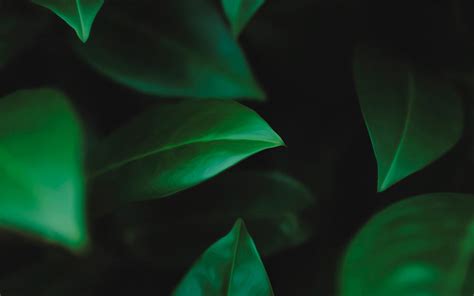 Psicología Del Color Verde Oscuro Psicología Del Color Y Teoría Del Color