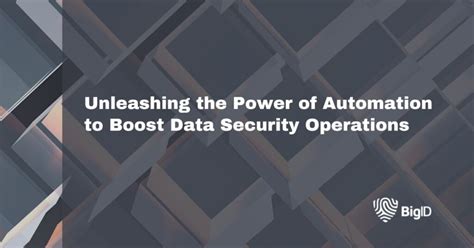 Boost Data Security Operations With Automation Bigid