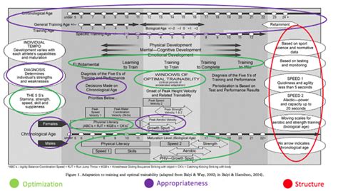 Ltad Helping To Develop The Future Athlete Setanta College