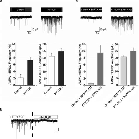 Fty720 Augments Spontaneous Mepsc Activity In Rat Hippocampal Neuronal