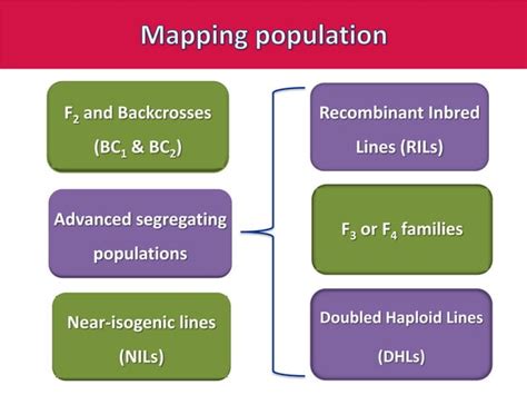 Quantitative Trait Loci Qtl Analysis And Its Applications In Plant Breeding Pdf Genetics
