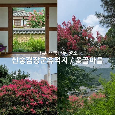 대구 배롱나무 명소 신숭겸장군유적지 옻골마을 실시간 개화 네이버 블로그