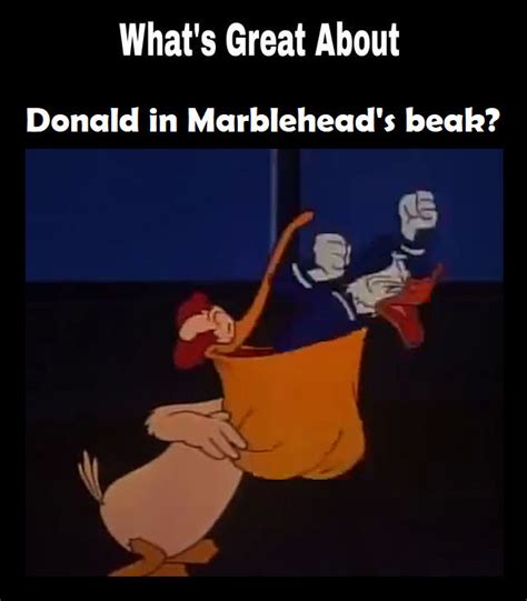 Whats Great About Donald In Marbleheads Beak By Mcsaurus On Deviantart