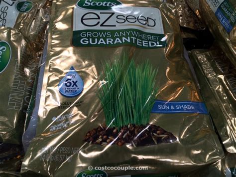 Scotts Ez Seed Lawn Patch