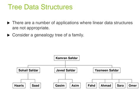 SOLUTION Tree Data Structure Studypool