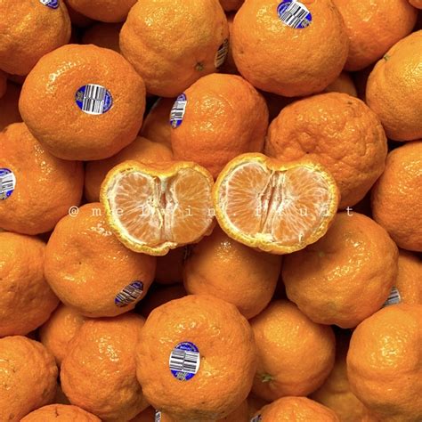 Jual Murcot Australia Shopee Indonesia