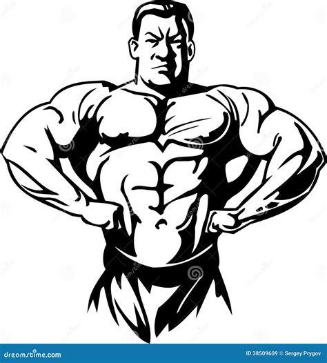 体型和powerlifting 传染媒介。 向量例证 插画 包括有 爱好健美者 执行 男性 屈曲 38509609