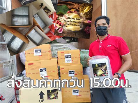 Ozoneb Ozone Box กล่องเก็บกลิ่นทุเรียน เก็บเงินปลายทาง