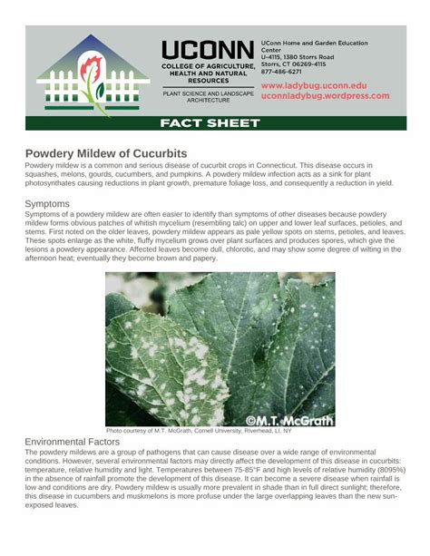 Pdf Powdery Mildew Of Cucurbits · Pdf Filepowdery Mildew Of Cucurbits Mildew Forms