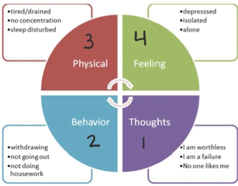 3 Behavioral Models Flashcards Quizlet