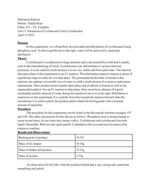 Chem Experiment Lab Report McKenzie Schmid Partner Natalie Rojo Chem TA Vishakha Lab