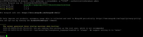 How To Connect IP2Proxy MongoDB Docker In Debian Container