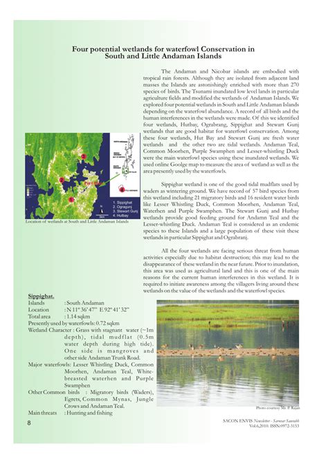 PDF Four Potential Wetlands For Waterfowl Conservation In Andaman Islands