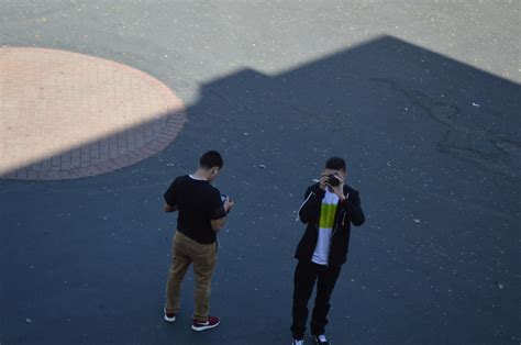 Bird Eye