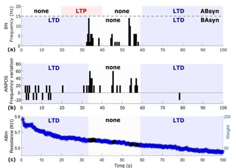 The Frequency Of Discharge Of The Second Biological Neuron In The