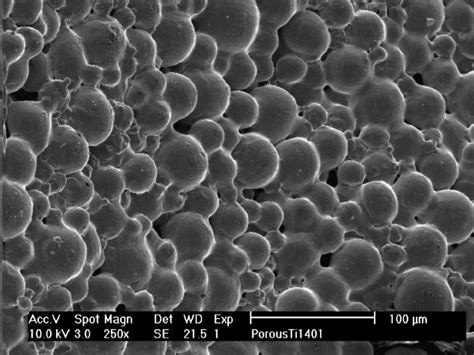 Microstructure Of Porous Titanium Alloy Download Scientific Diagram