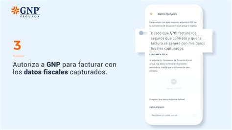 Actualización Datos Fiscales App Soy Cliente GNP YouTube