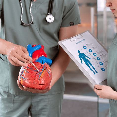 Concept Diagnostics Cardiogram Test In Ahmedabad