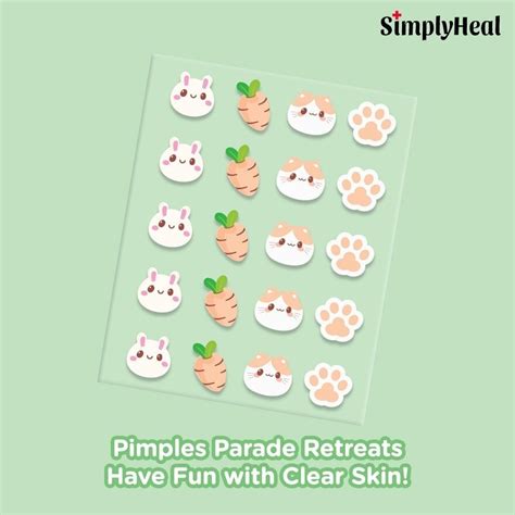Simplyheal Kitty Rabbit Day And Night Premium Hydrocolloid Acne Patch