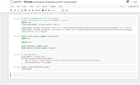 No Outputs From Viewimage Of Itkwidgets Beginner Questions Itk