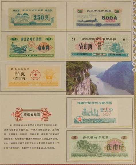 各种粮票的价格百度知道