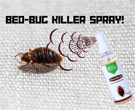 What Are The Best Sprays To Control Bed Bugs