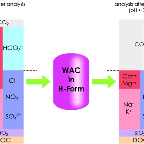 Function Of Decarbonisation By A Wac Download Scientific Diagram