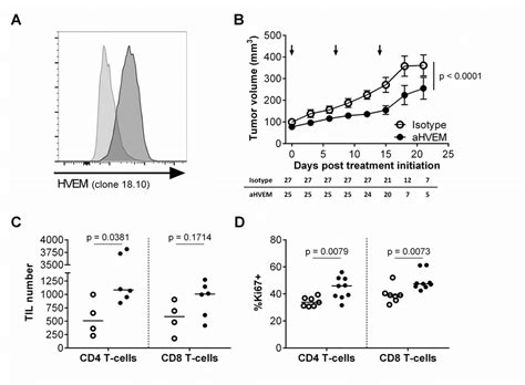 Treatment Of Humanized Mice Grafted With Pc3 Tumor With Anti Hvem Is