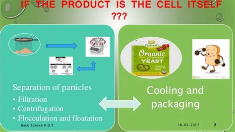 Downstream Processing