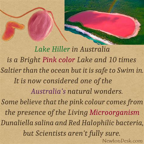 Hillier Lake A Mysterious Pink Water Lake Of Australia Nature Facts