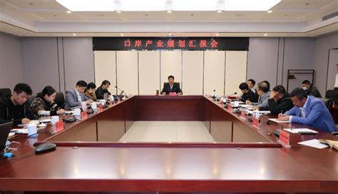 阿尔山市召开口岸规划汇报会 澎湃号政务 澎湃新闻 The Paper
