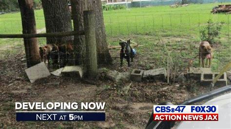Actionnewsjax On Twitter Developing Next Deputies Say A Local Postal