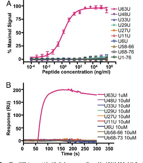 Figure 2 From Analysis Of Nondegradative Protein Ubiquitylation With A