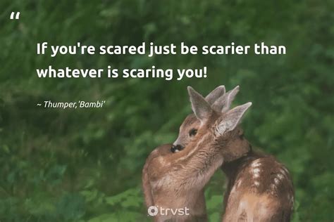 35 Deer Quotes About The Graceful Mammals With Antlers