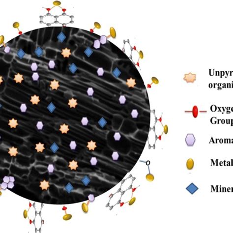 Surface Properties Of Biochar Obtained From Different Chemical Download Scientific Diagram