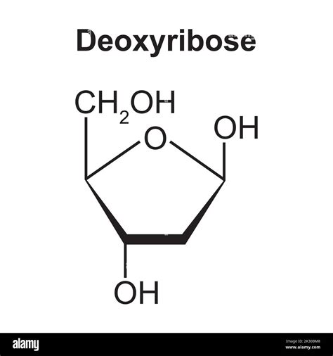 Ribose Structural Formula
