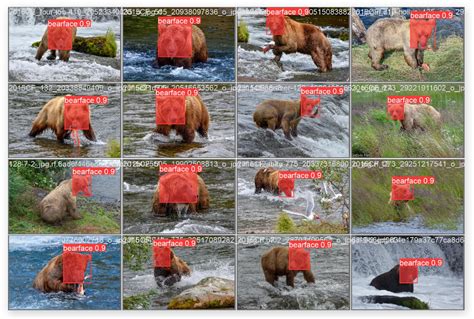 a guide to designing a bear face segmentation system earthtoolsmaker