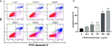 Effects Of 12346 Penta O Galloyl β D Glucose On Apoptosis Of Hepg2
